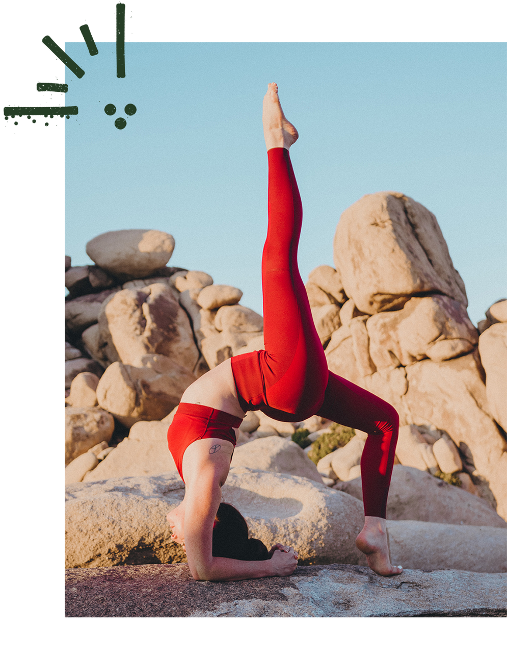 Steward Supplements | Alaskan Fish Oil | Organic Fish Oil