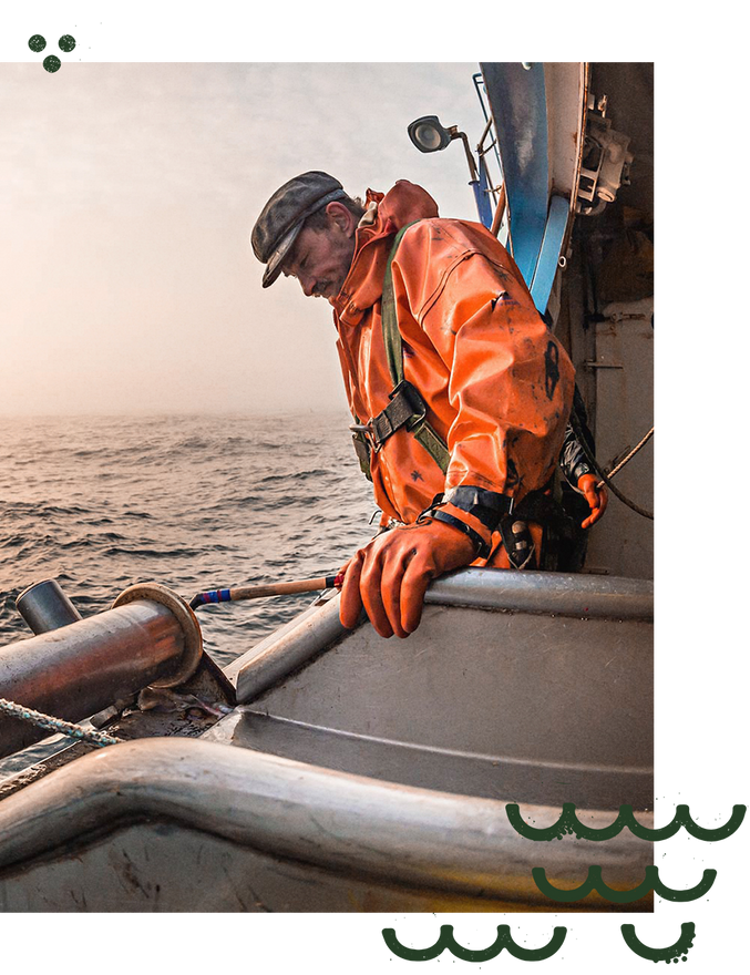 Steward Supplements | Alaskan Fish Oil | Organic Fish Oil